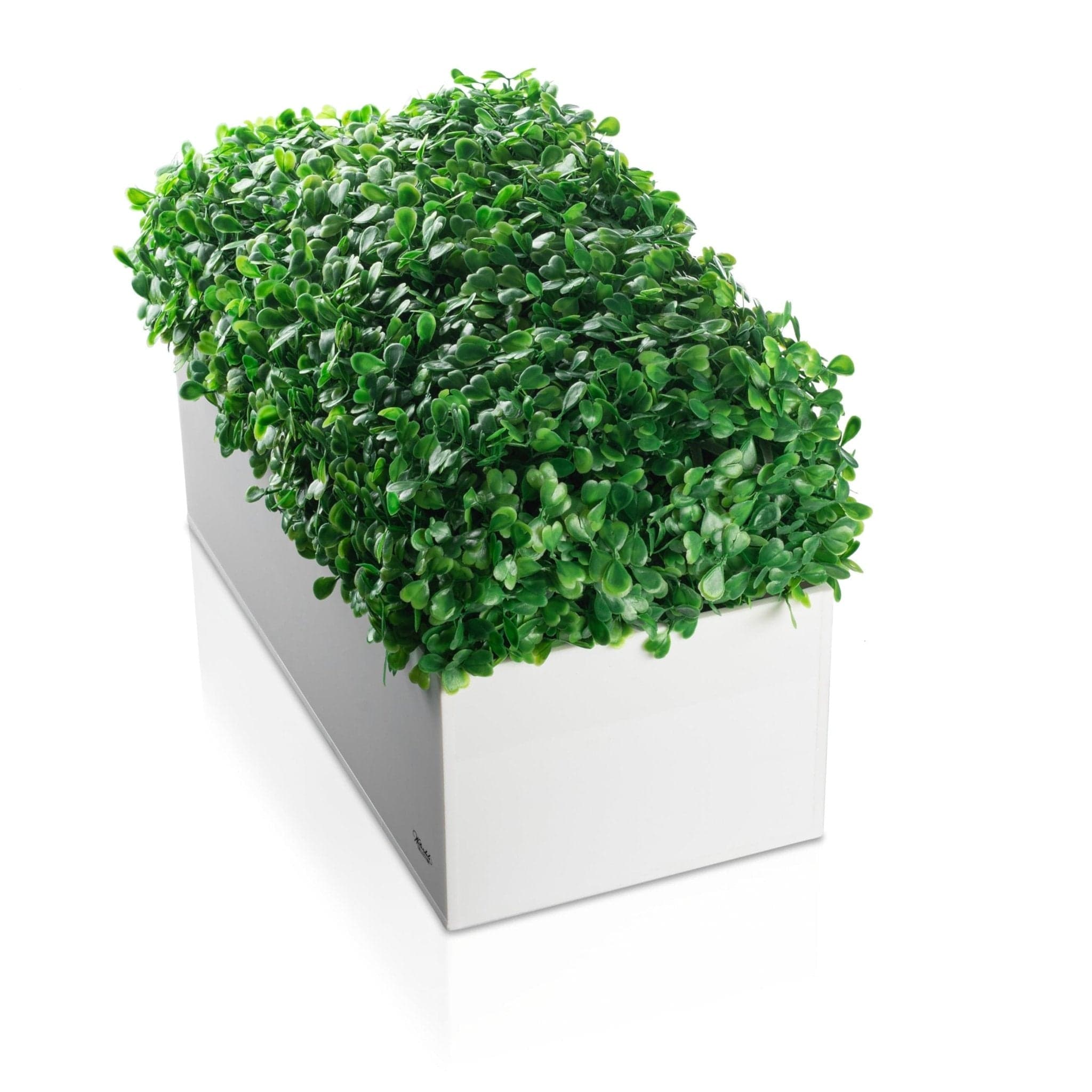 PRIME DAY – Waterdale Collection