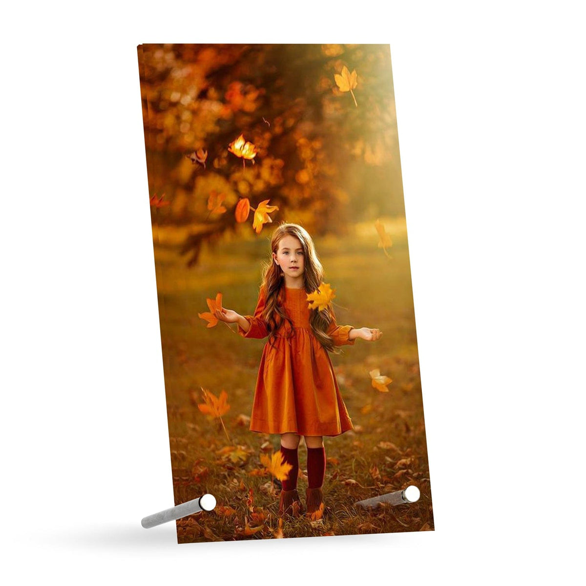 Custom Lucite Tabletop Print – Waterdale Collection