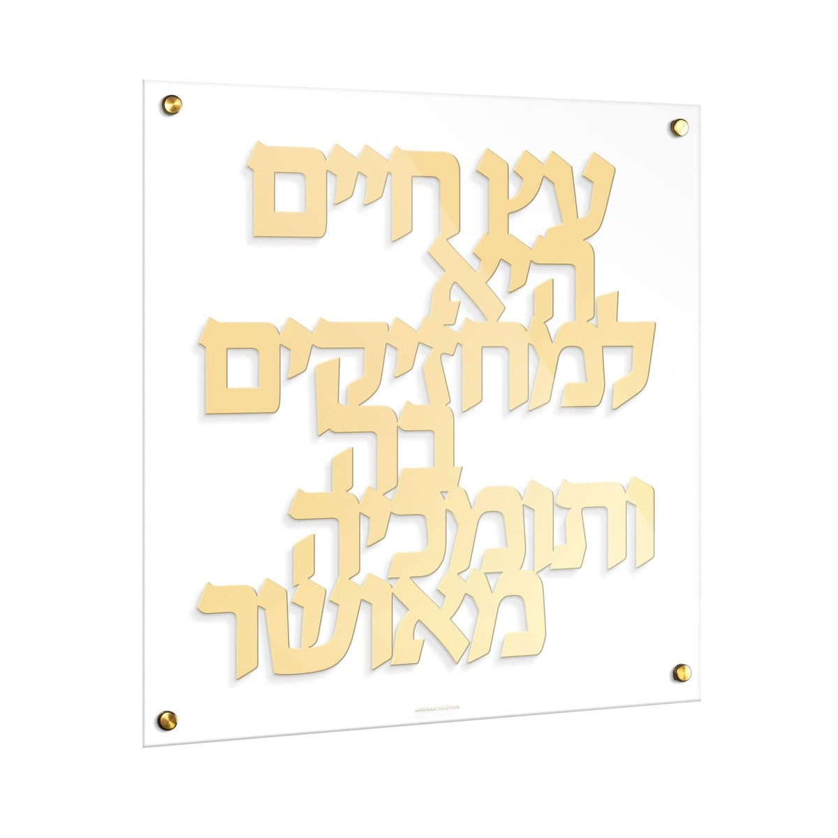 Classic Lucite Eitz Chaim – Waterdale Collection